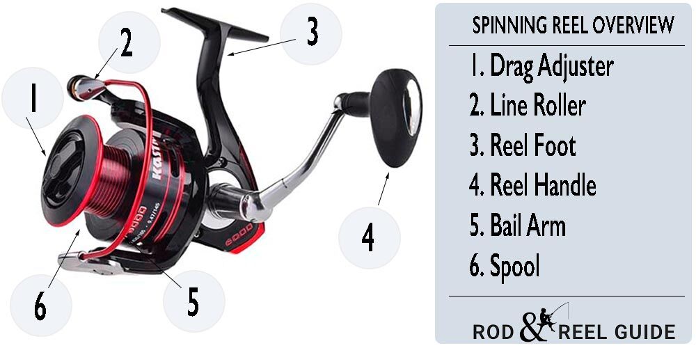 Different Types Of Fishing Reels | Reviews and Guides | Rod And Reel Guide